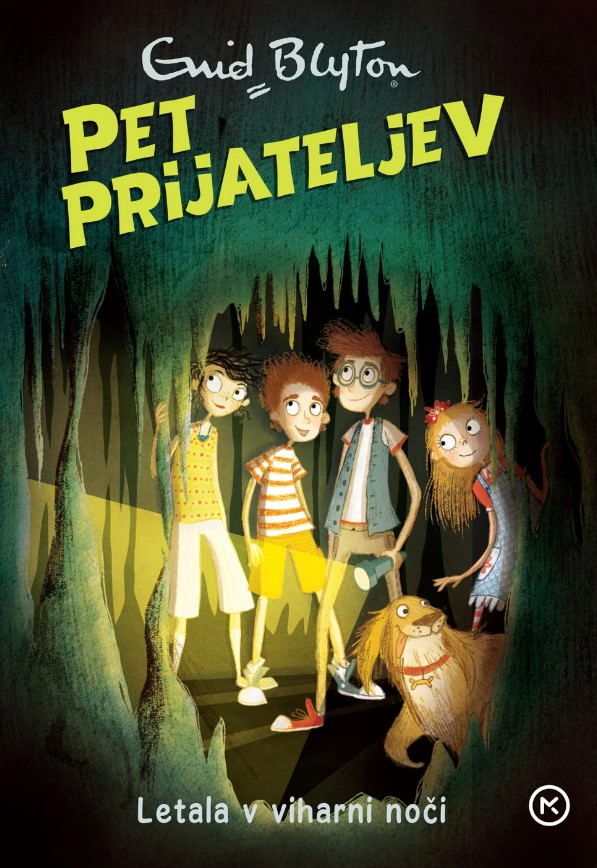 Pet prijateljev: Letala v viharni noči | Knjiga avtorja Enid Blyton