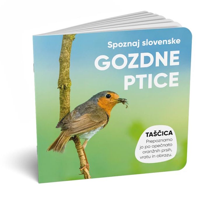 Spoznaj slovenske gozdne ptice | Knjiga avtorja Sandra Pohole