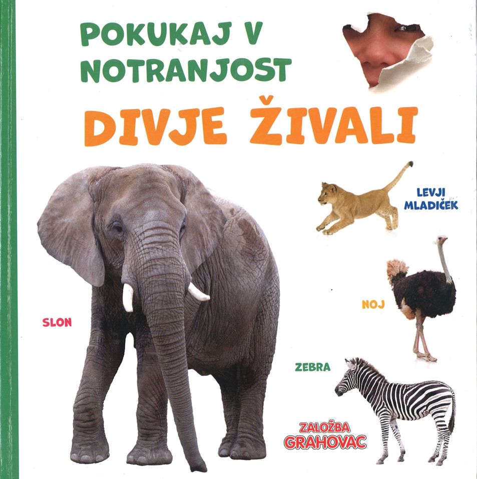 Pokukaj v notranjost - Divje živali | Spletna knjigarna Galarna