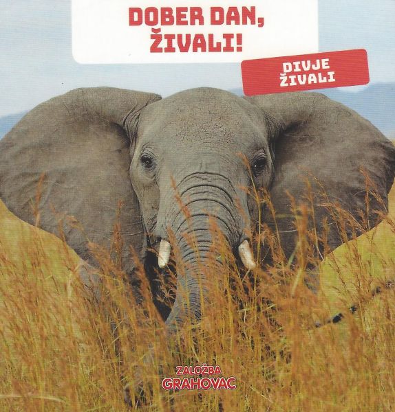 Dober dan, divje živali | Spletna knjigarna Galarna