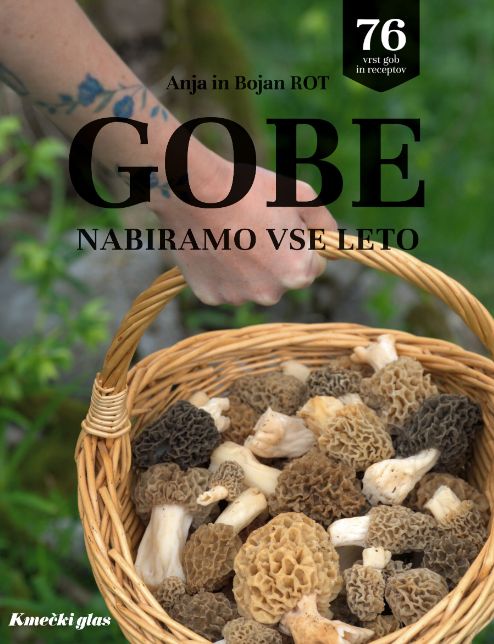 Gobe nabiramo vse leto: 76 vrst gob in receptov | Knjiga avtorja Anja in Bojan Rot