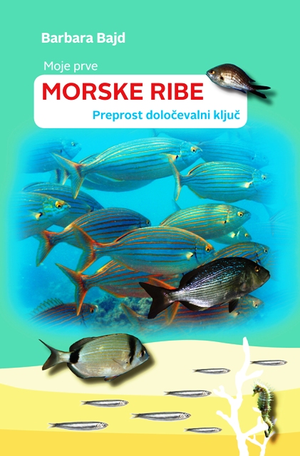 Moje prve morske ribe, Ključ Preprost določevalni ključ | Knjiga ...
