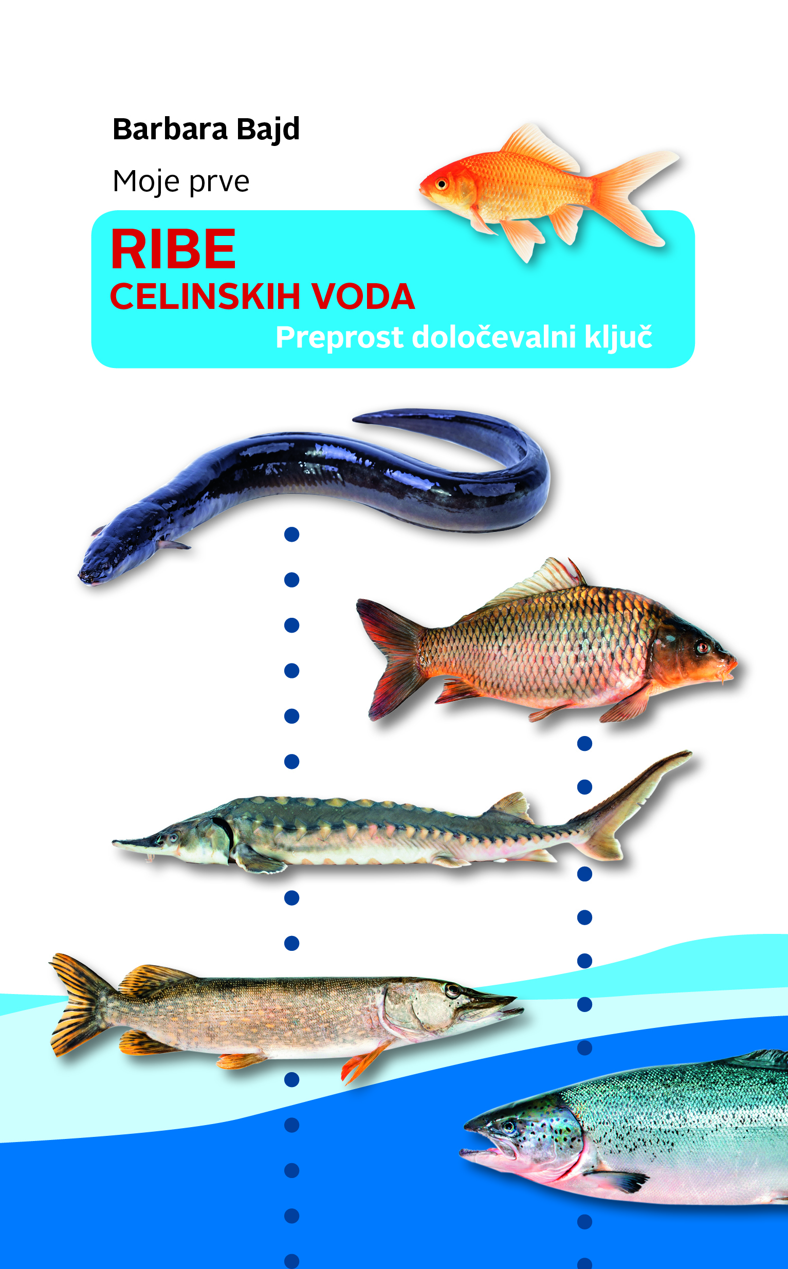 Moje prve ribe celinskih voda | Knjiga avtorja Barbara Bajd