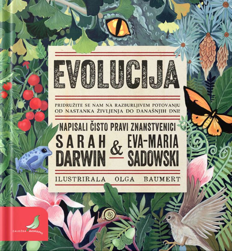Evolucija (znak kakovosti Zlata hruška) | Knjiga avtorja Sarah Darwin ...