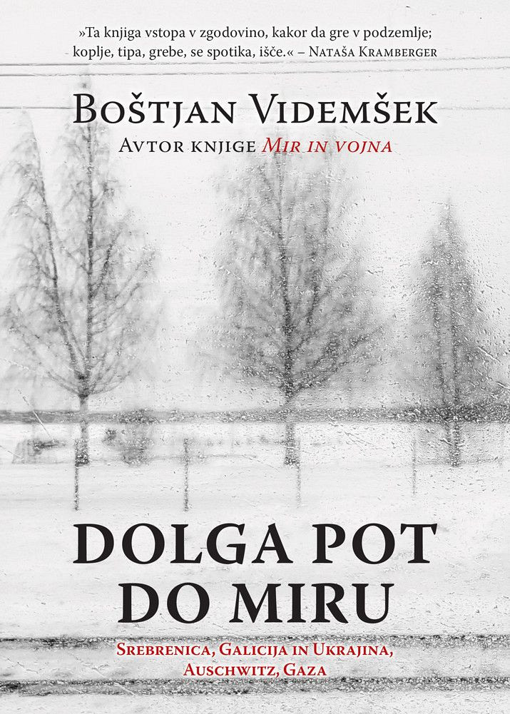 Dolga pot do miru | Knjiga avtorja Abha Valentina Lo Surdo, Boštjan Videmšek