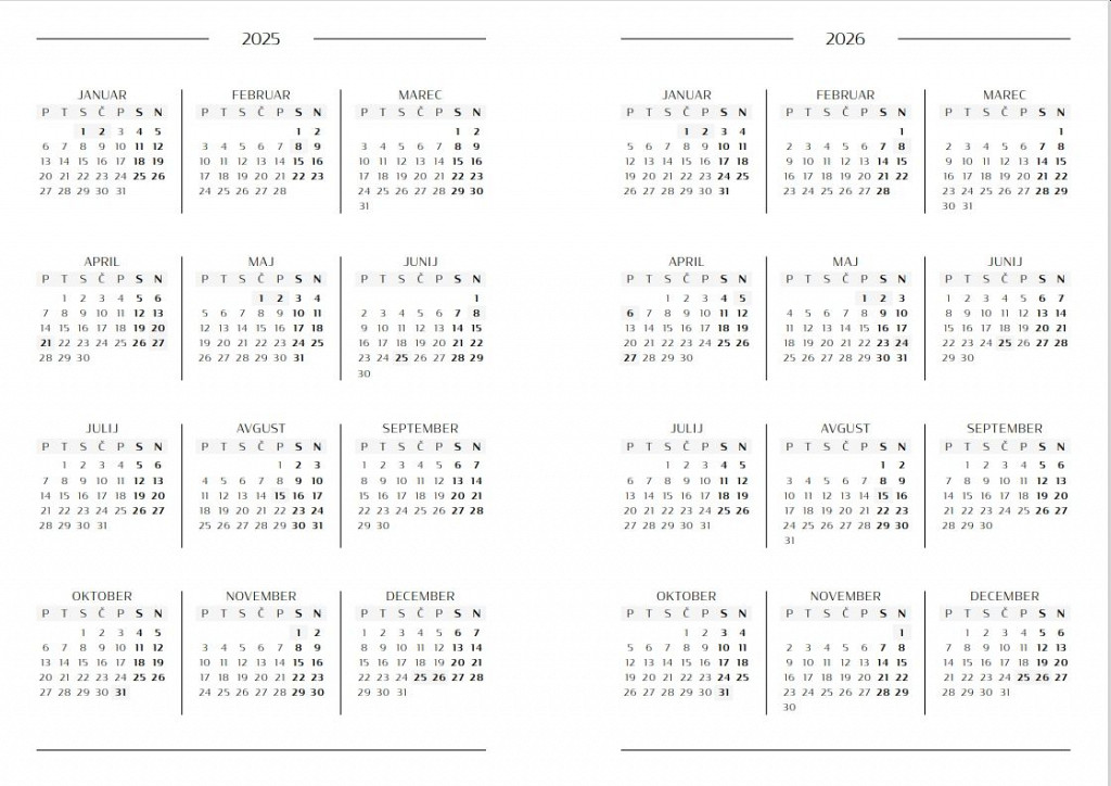 Planer marble (brez datuma, spiralna vezava) | Spletna knjigarna Galarna