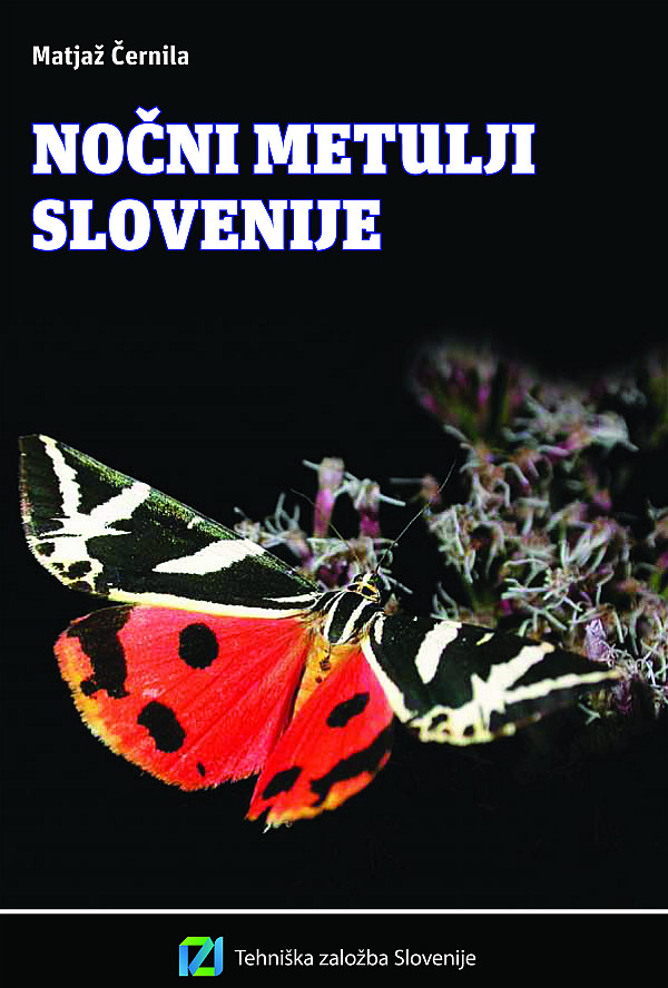 Nočni metulji Slovenije | Galarna.si